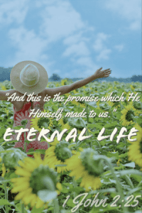 70 Best Bible Verses About Heaven And Eternal